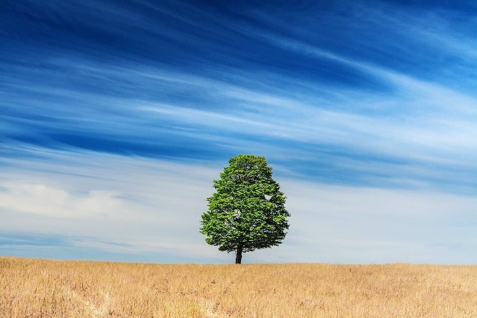 Single Estates - 67 Pall Mall