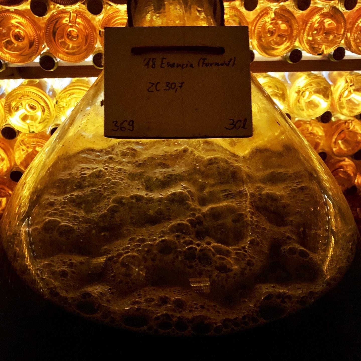 Tokaj: the wine of Kings, the King of wines - 67 Pall Mall