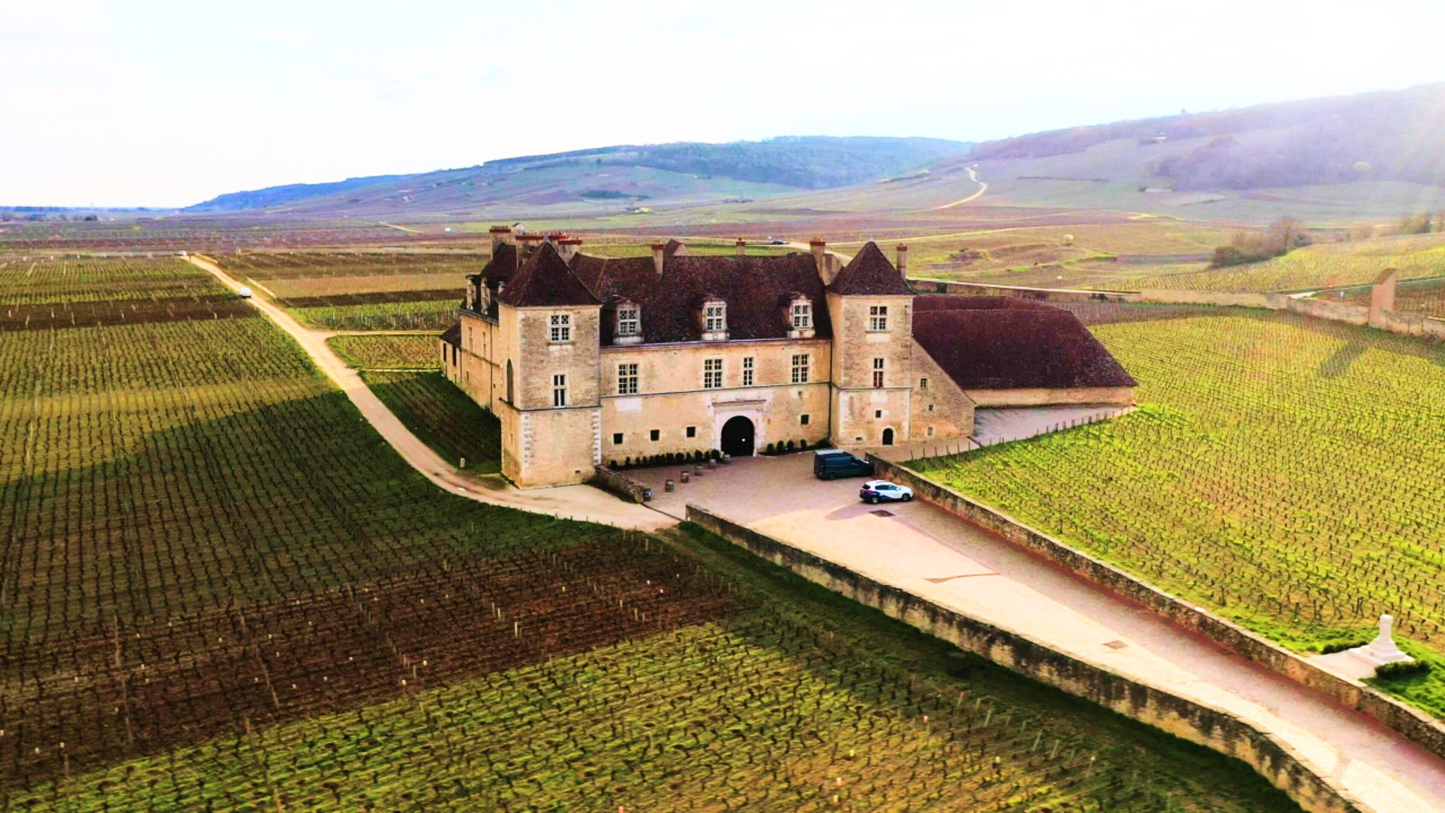 Live from the Vines: The Genius of Domaine d’Eugénie - 67 Pall Mall