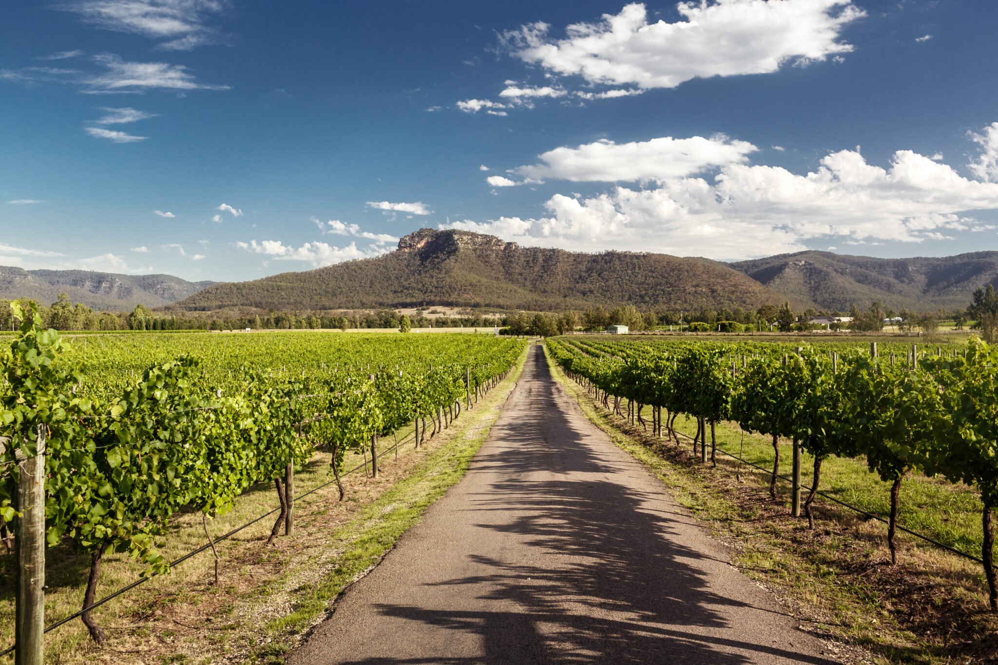 Matthew Jukes 100 Best Australian Wines Walkaround Tasting