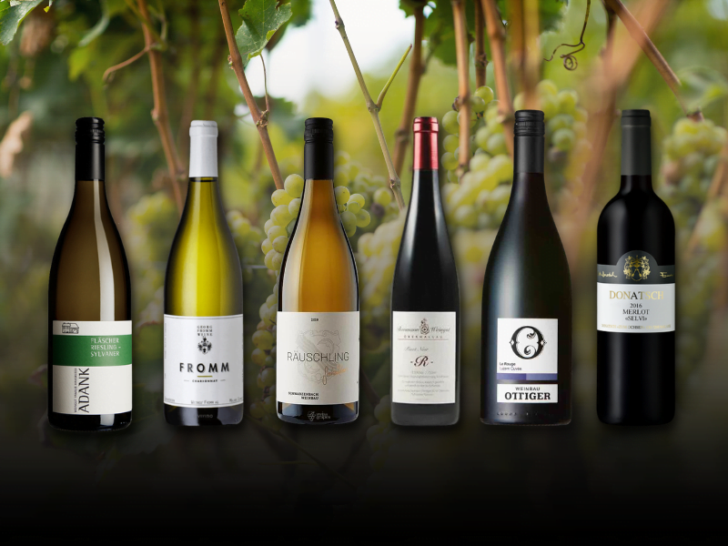 Discovering the diversity of the Swiss-German terroir - Wednesday 12th ...